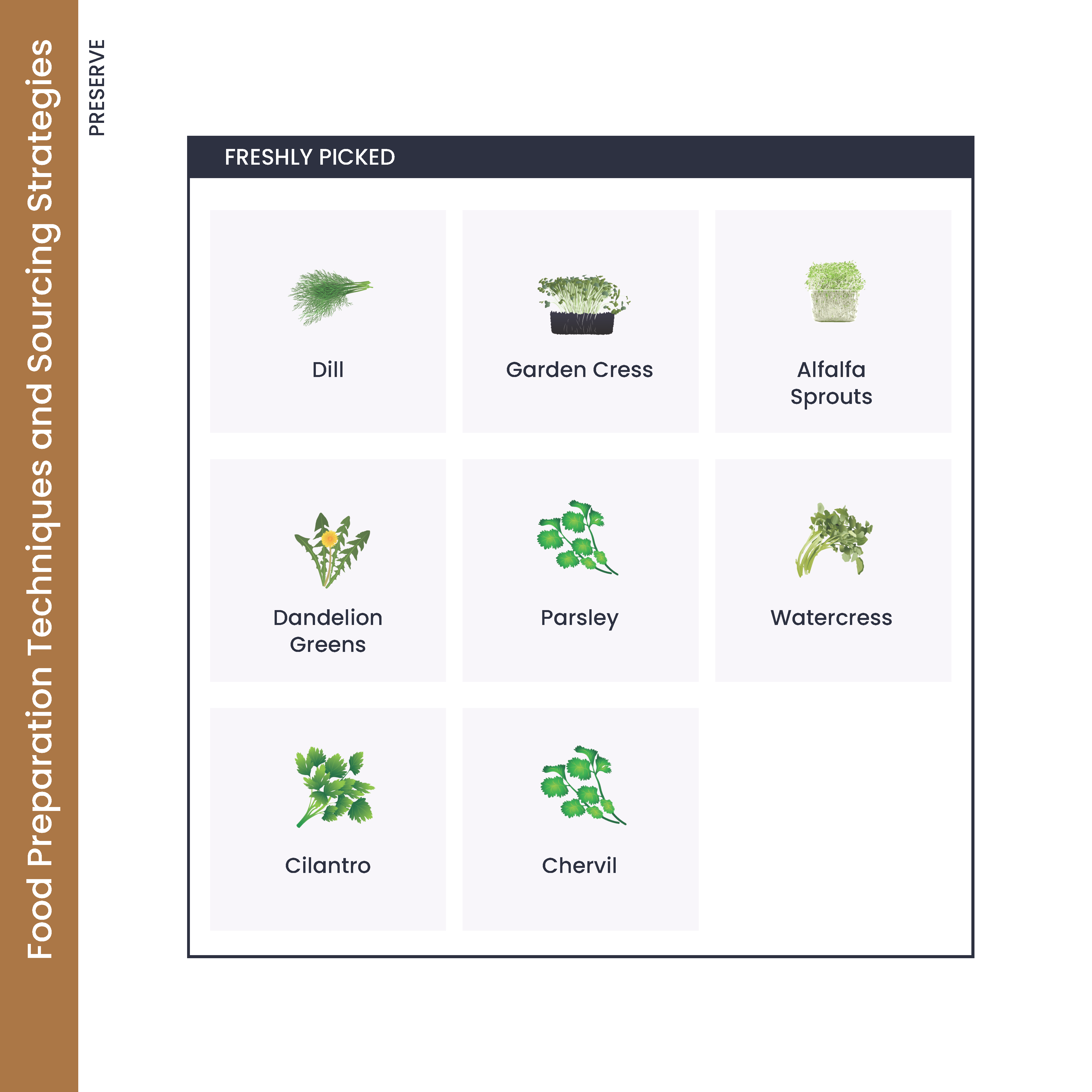 The Nutrient Density Chart® (Softcover Book) – The Nutrient Density Chart